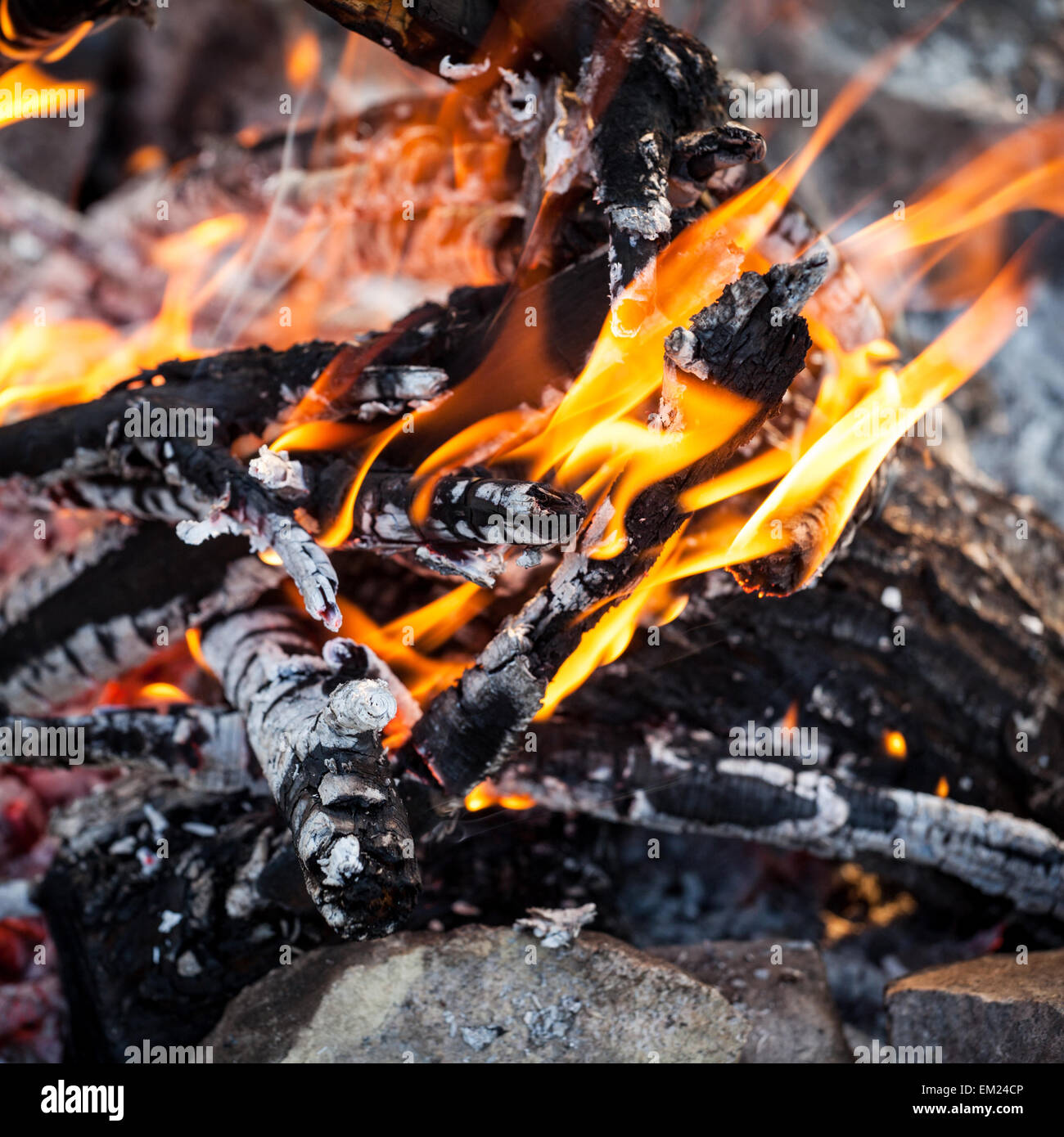 Bonfire in the spring forest. Coals of fire. Ukraine Stock Photo - Alamy