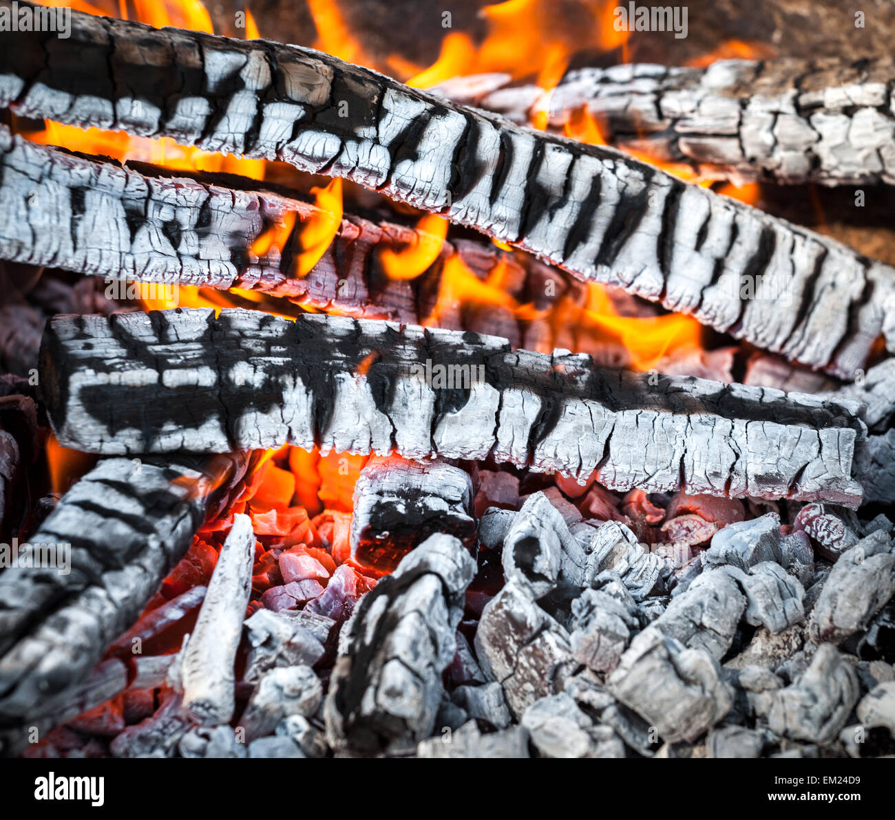 Bonfire in the spring forest. Coals of fire. Ukraine Stock Photo - Alamy
