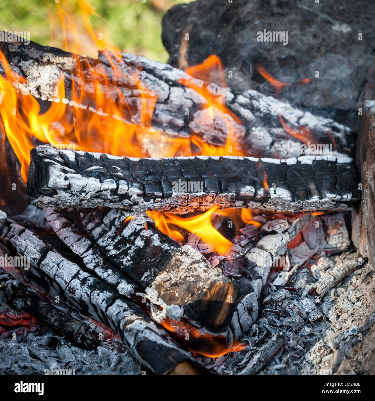 Bonfire in the spring forest. Coals of fire. Ukraine Stock Photo - Alamy