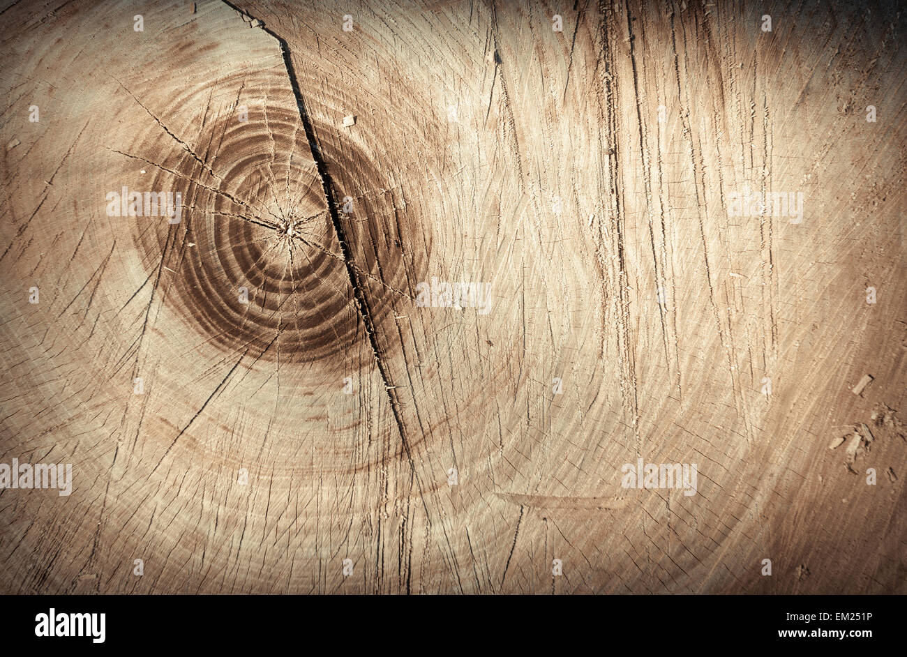 old wood texture. background panels for design. tree Stock Photo - Alamy