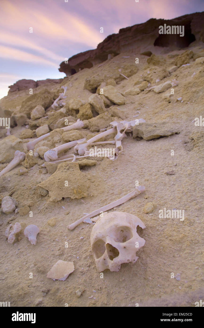 Human Remains And Bones Scattered Near Tombs Outside The Town Of Siwa ...