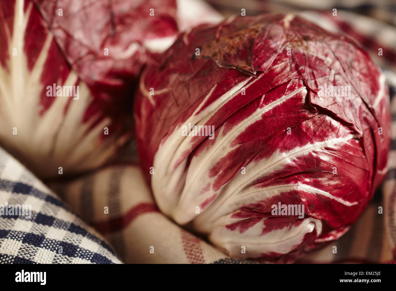 Chicory head hi-res stock photography and images - Alamy