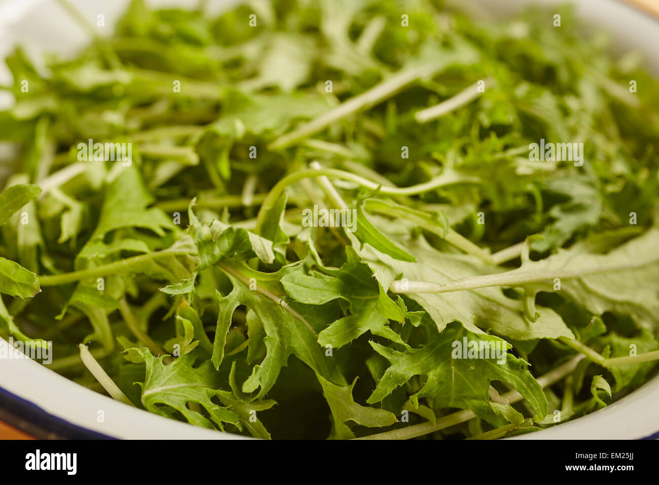Rocket leaves hi-res stock photography and images - Alamy