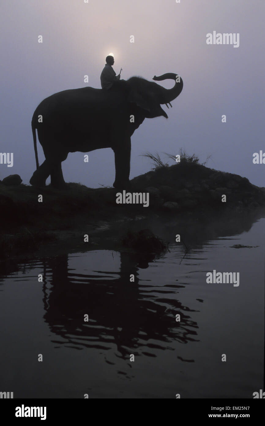 An Elephant With Its Mahout Stand At The Edge Of The Rapti River Near ...