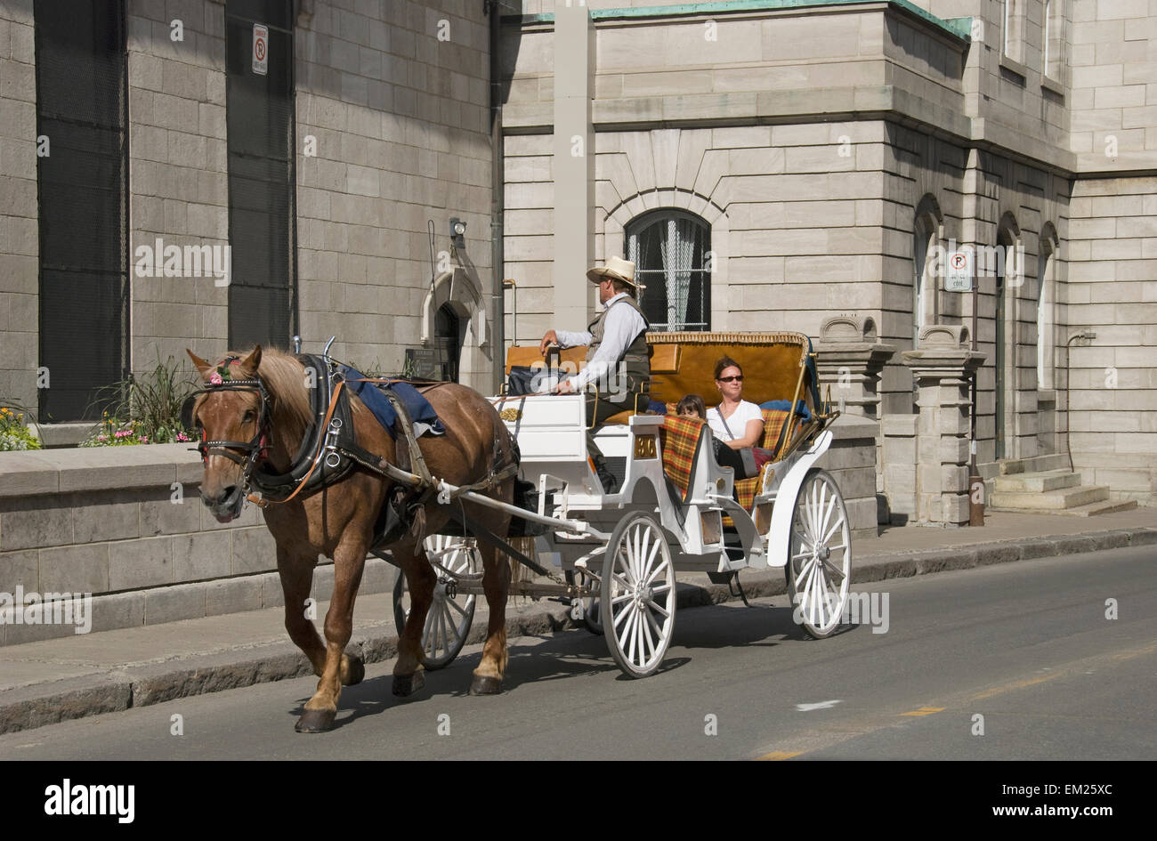 Woman Taking A Carriage Ride Stock Photo - Alamy