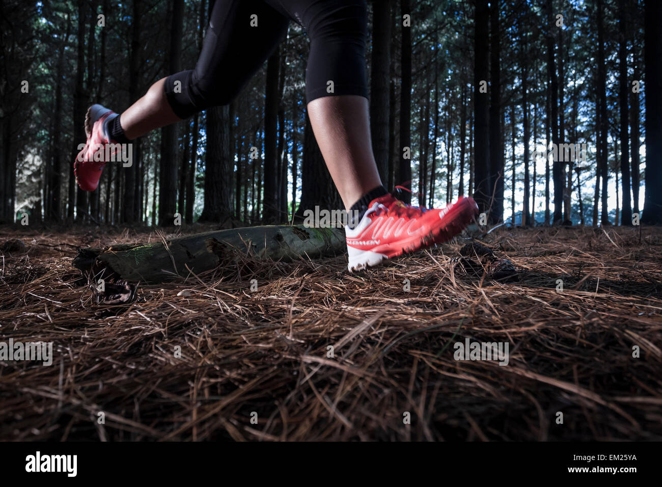 Female trail running through pine forest Stock Photo - Alamy