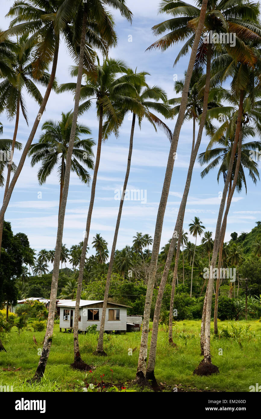 Vanua levu island in hi-res stock photography and images - Alamy