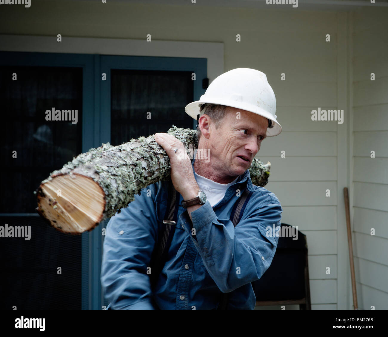 A man wearing a hard hat carries the branch of a tree on his shoulder ...
