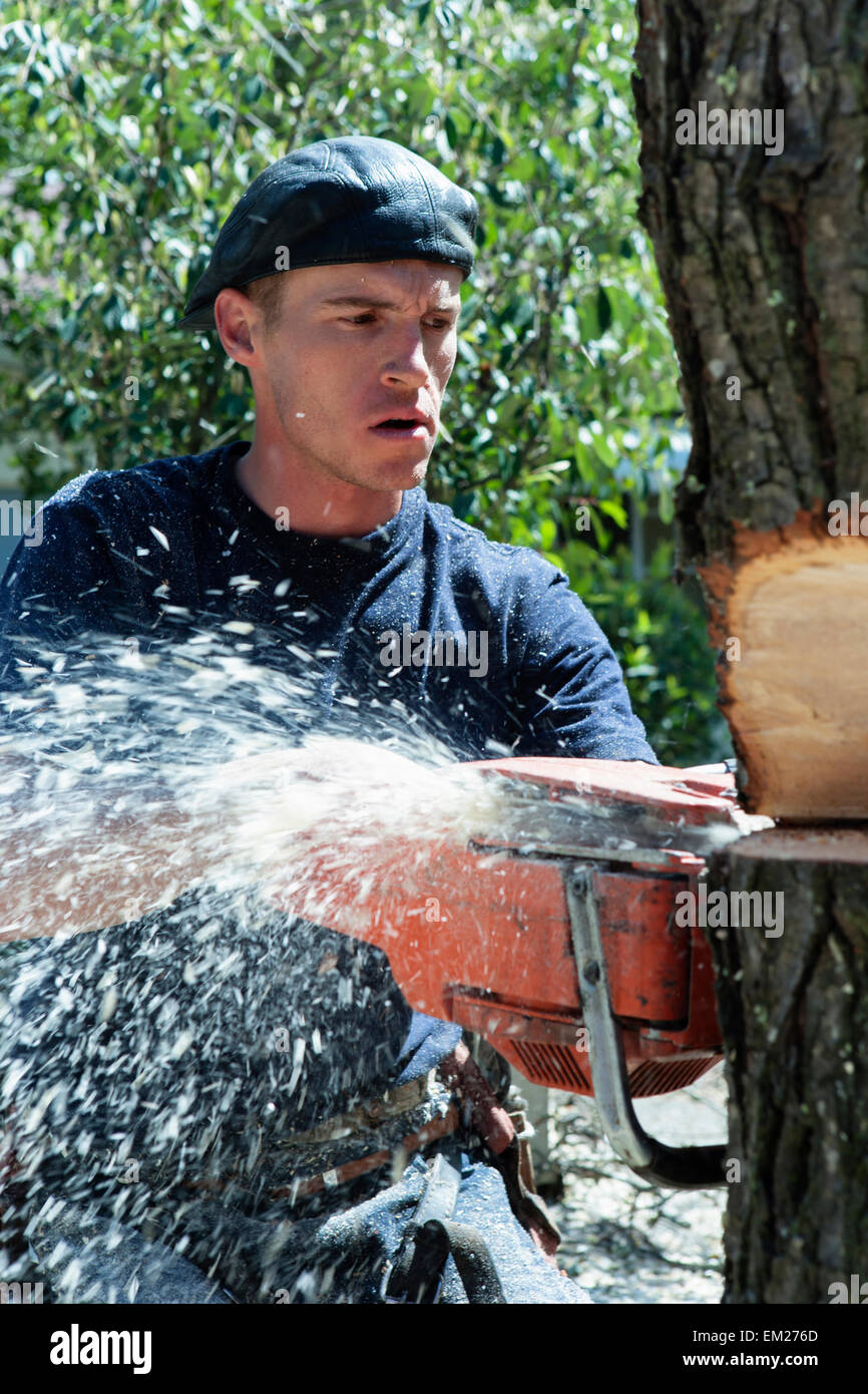 A young man cutting down a tree with a chain saw Stock Photo - Alamy