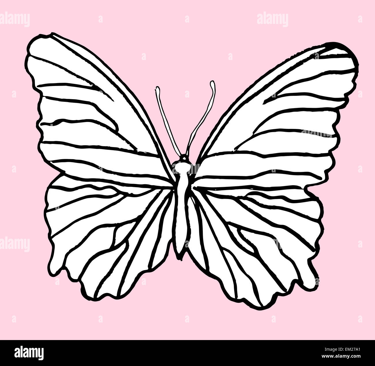 Hand drawn butterfly Stock Photo - Alamy