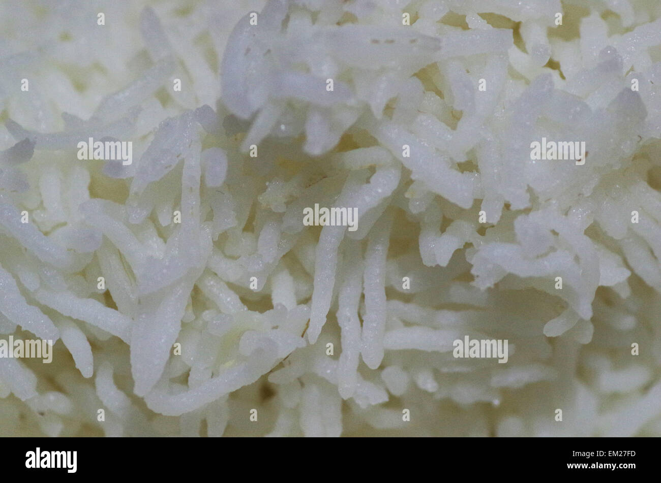 Cooked Basmati Rice Stock Photo - Alamy