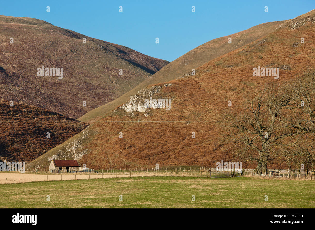 A Lone House At The Base Of Cheviot Hills; Northumberland England Stock ...