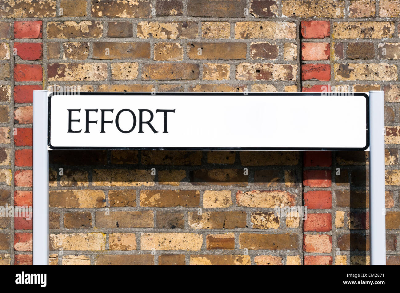 Maximum effort for maximum results. Success is dependent on effort ...