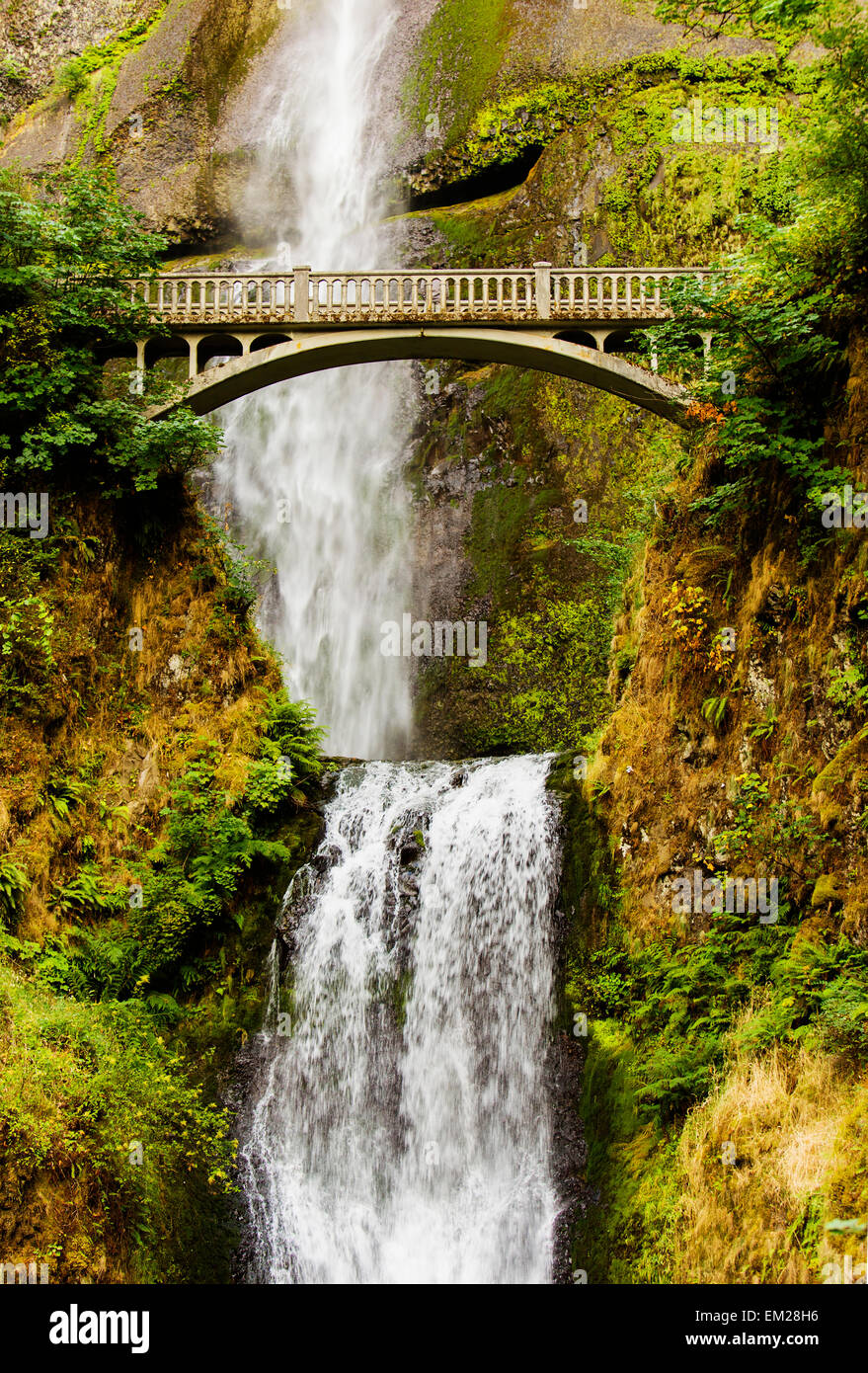 Vertical multnomah falls hi-res stock photography and images - Alamy