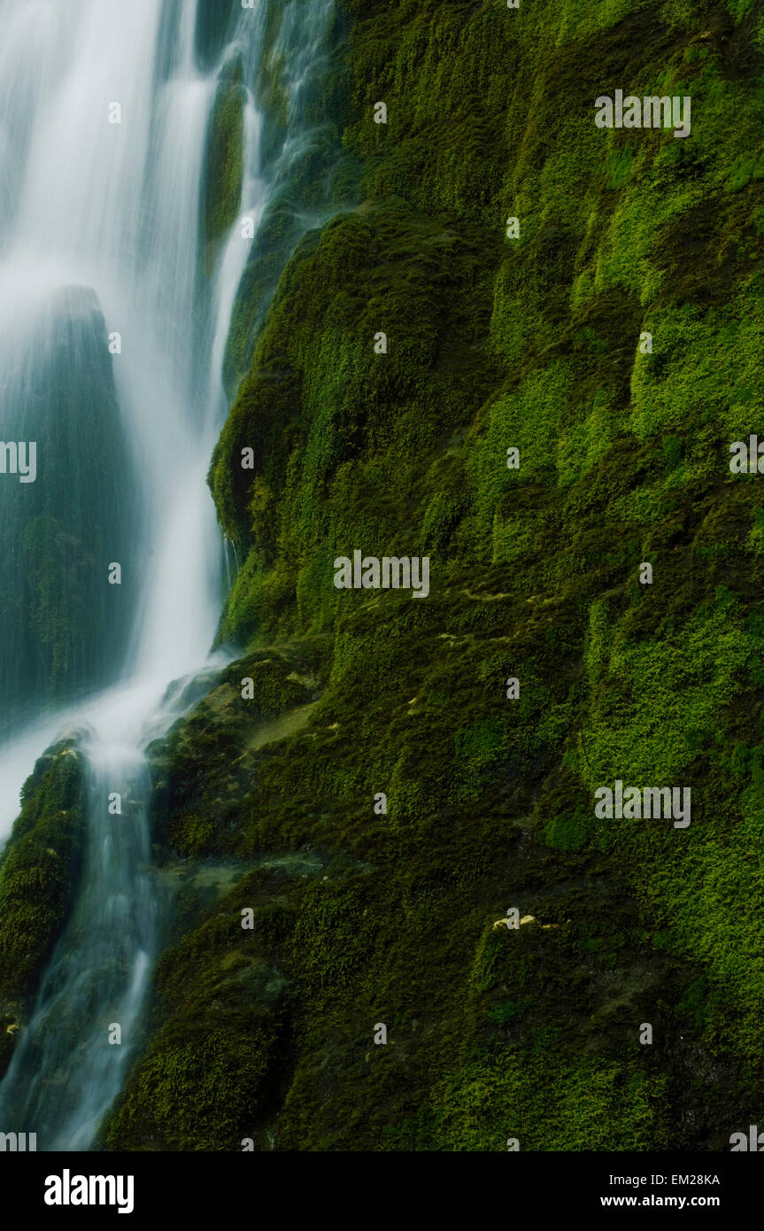 Untouched nature. Clean flowing water. Beautiful pristine waterfall in ...