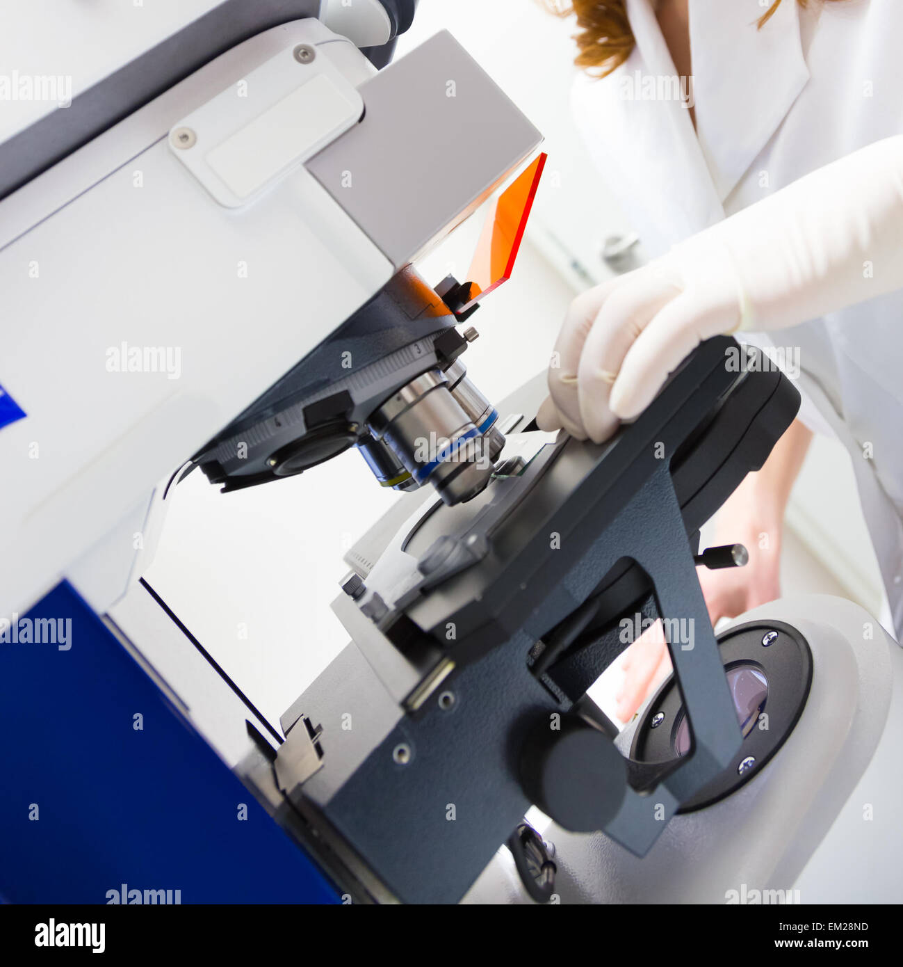 Scientist microscoping on fluorescent microscope Stock Photo - Alamy