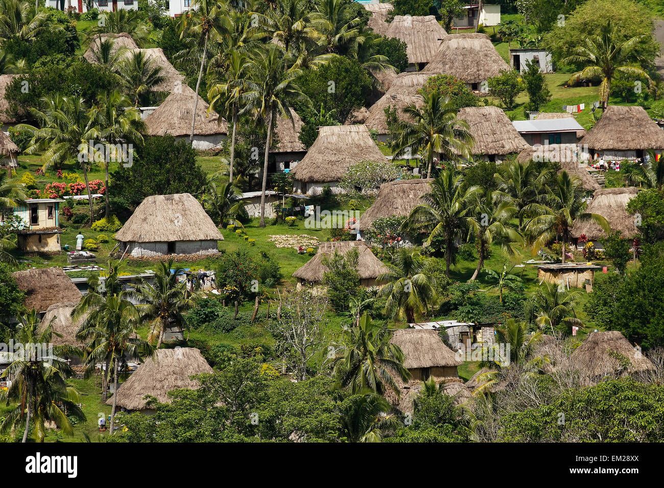 Traditional houses of Navala village, Viti Levu island, Fiji Stock ...