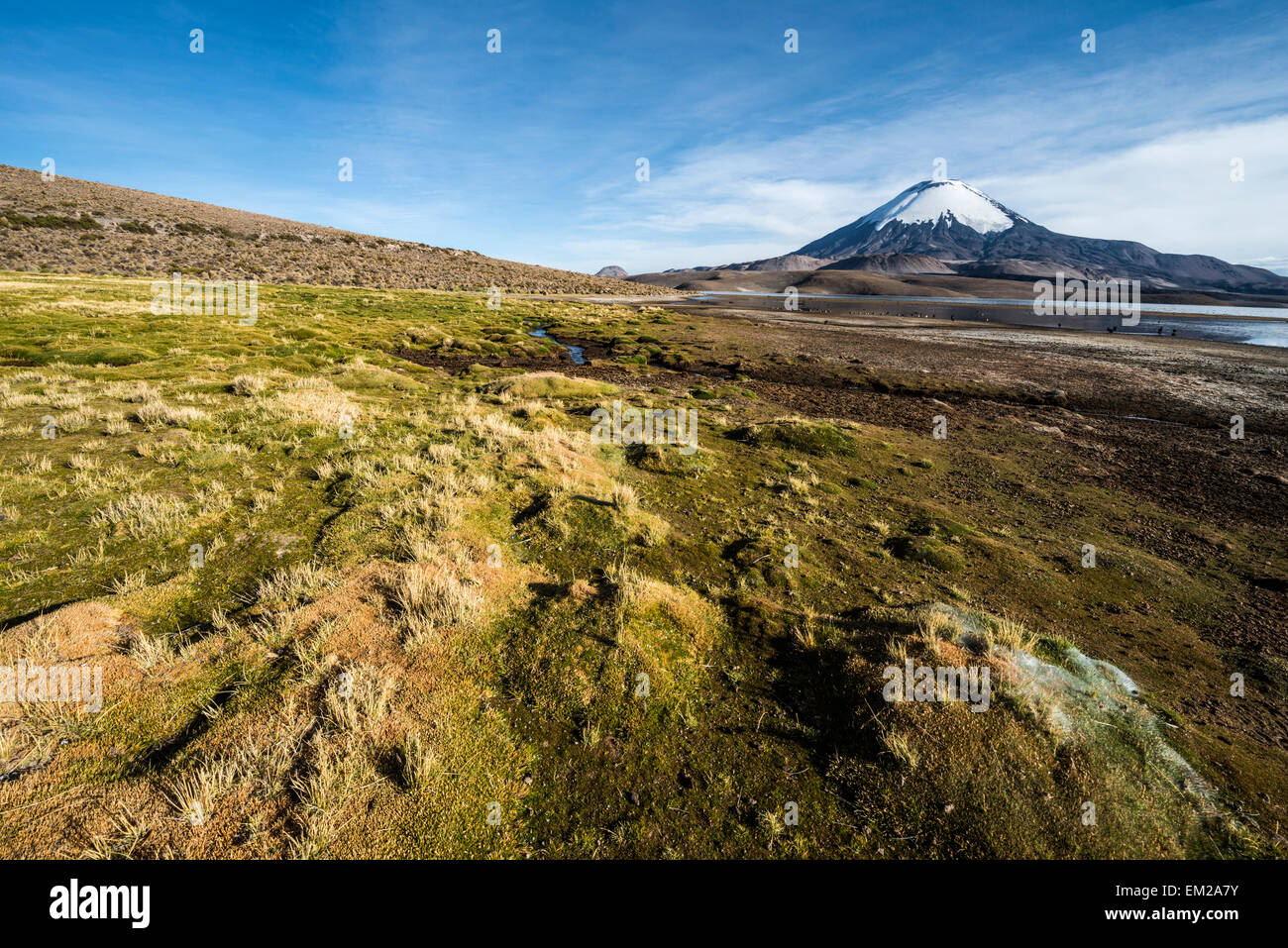 Snow capped Parinacota Volcano reflected in Lake Chungara, Chile Stock ...