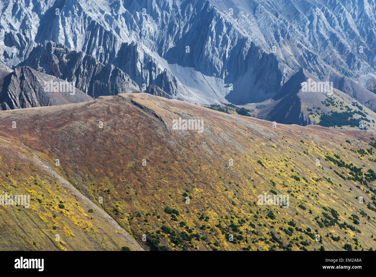 Close Up Of Mountain Hillside With Fall Colours And Mountain Range ...