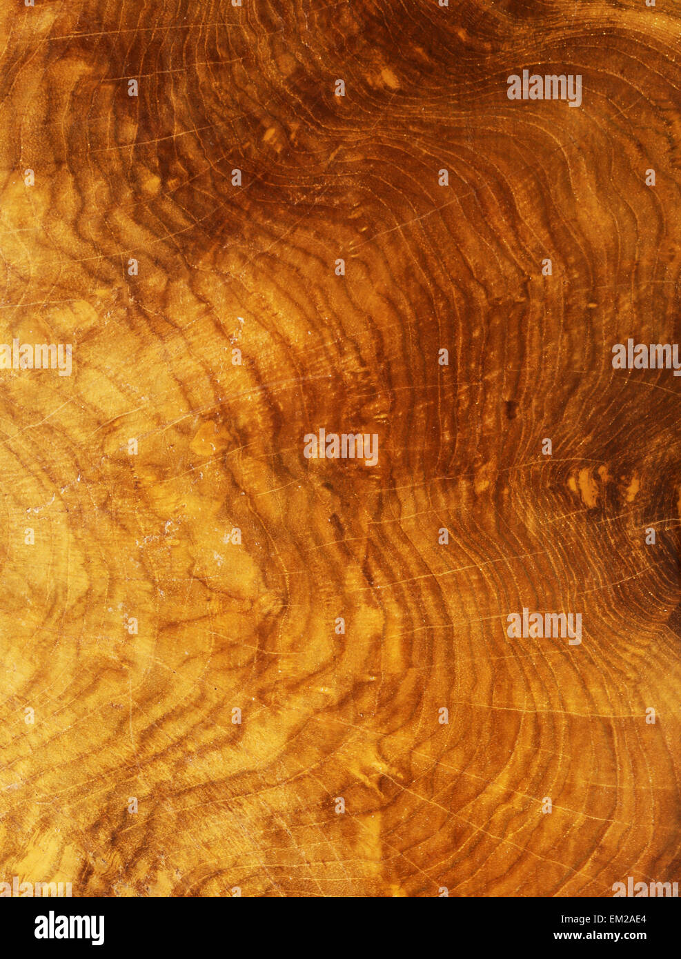 olive tree wood texture, used as background Stock Photo - Alamy