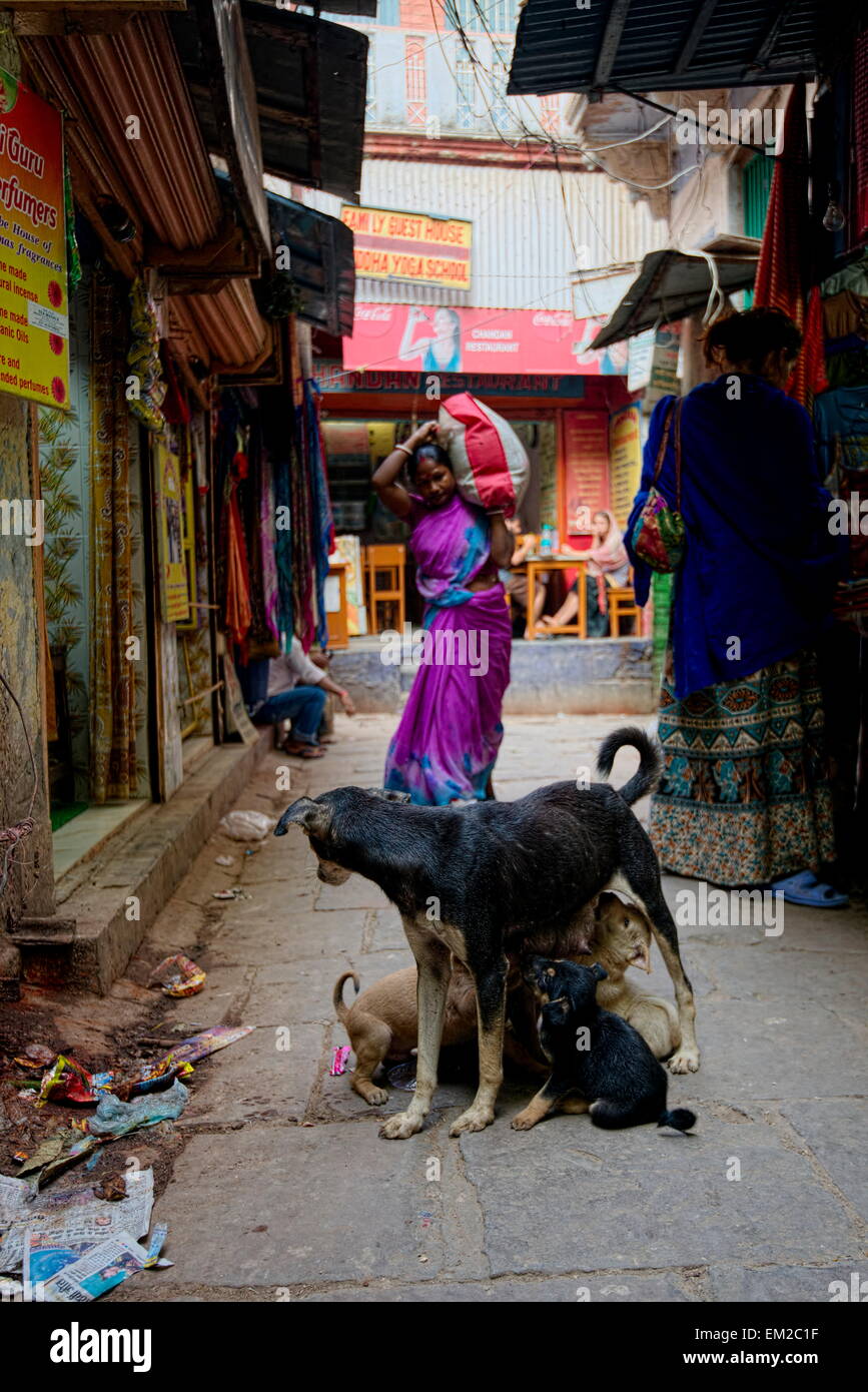 The narrow alleys of old Varanasi's old town Stock Photo - Alamy