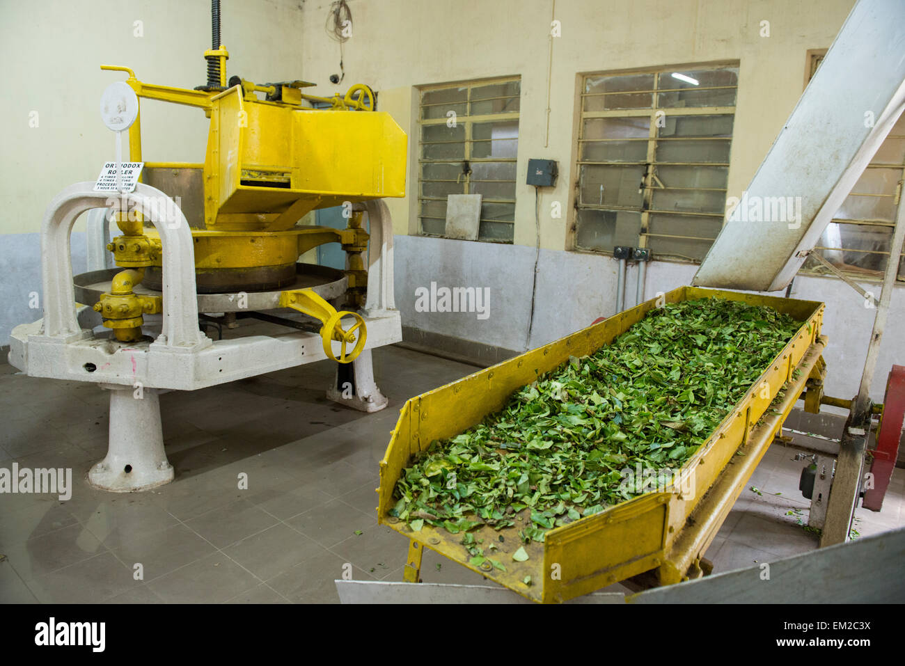 Kanan devan hills plantation hi-res stock photography and images - Alamy