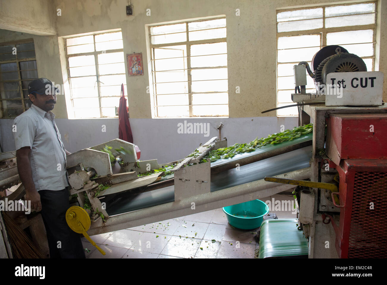 Kanan devan hills plantation hi-res stock photography and images - Alamy