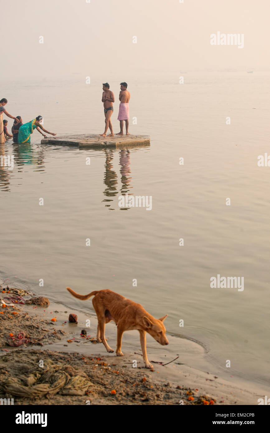Bathers in the Ganges early in the morning at one of the ghats of ...