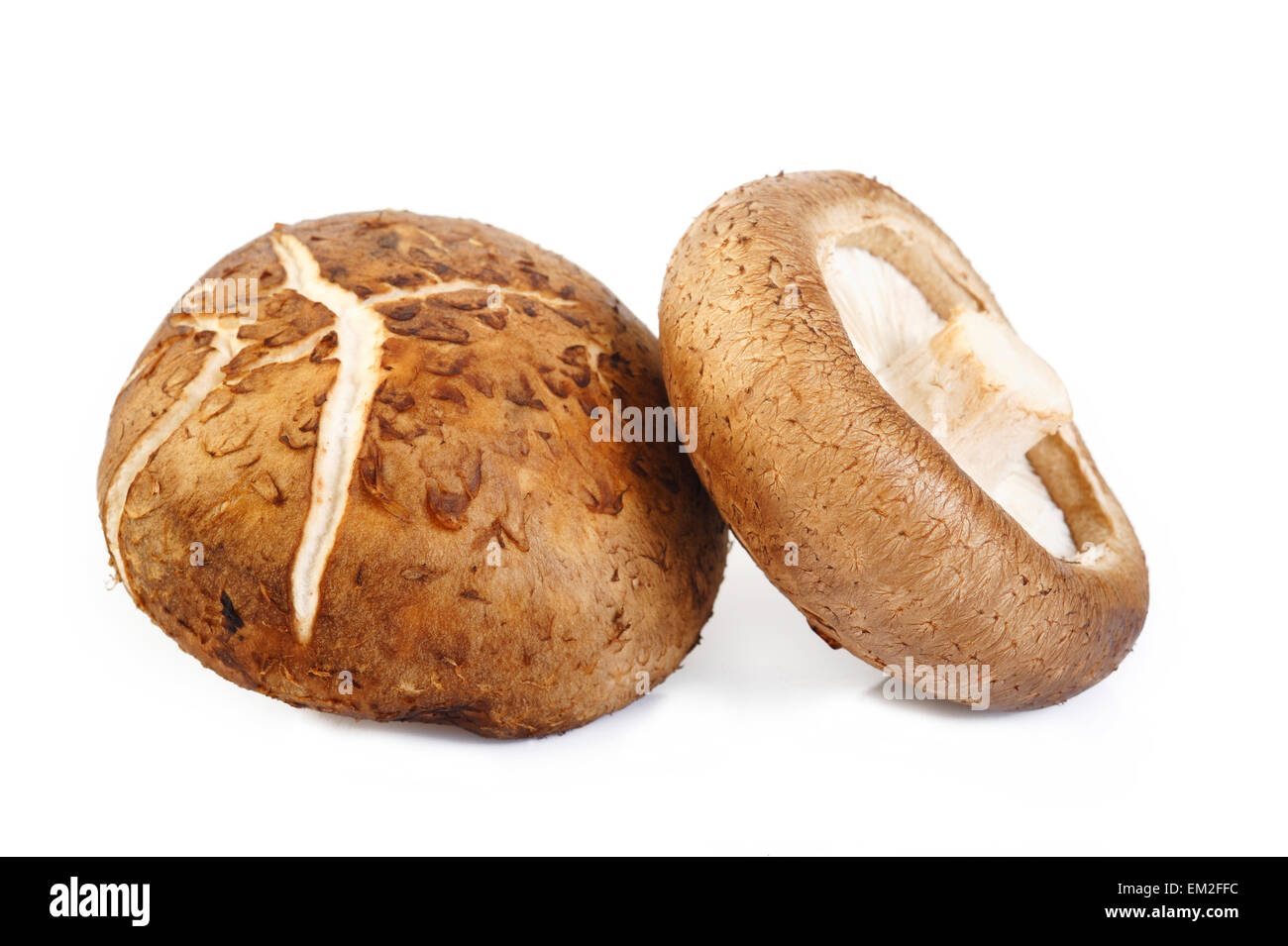 Fresh shiitake mushroom isolated on white background Stock Photo - Alamy
