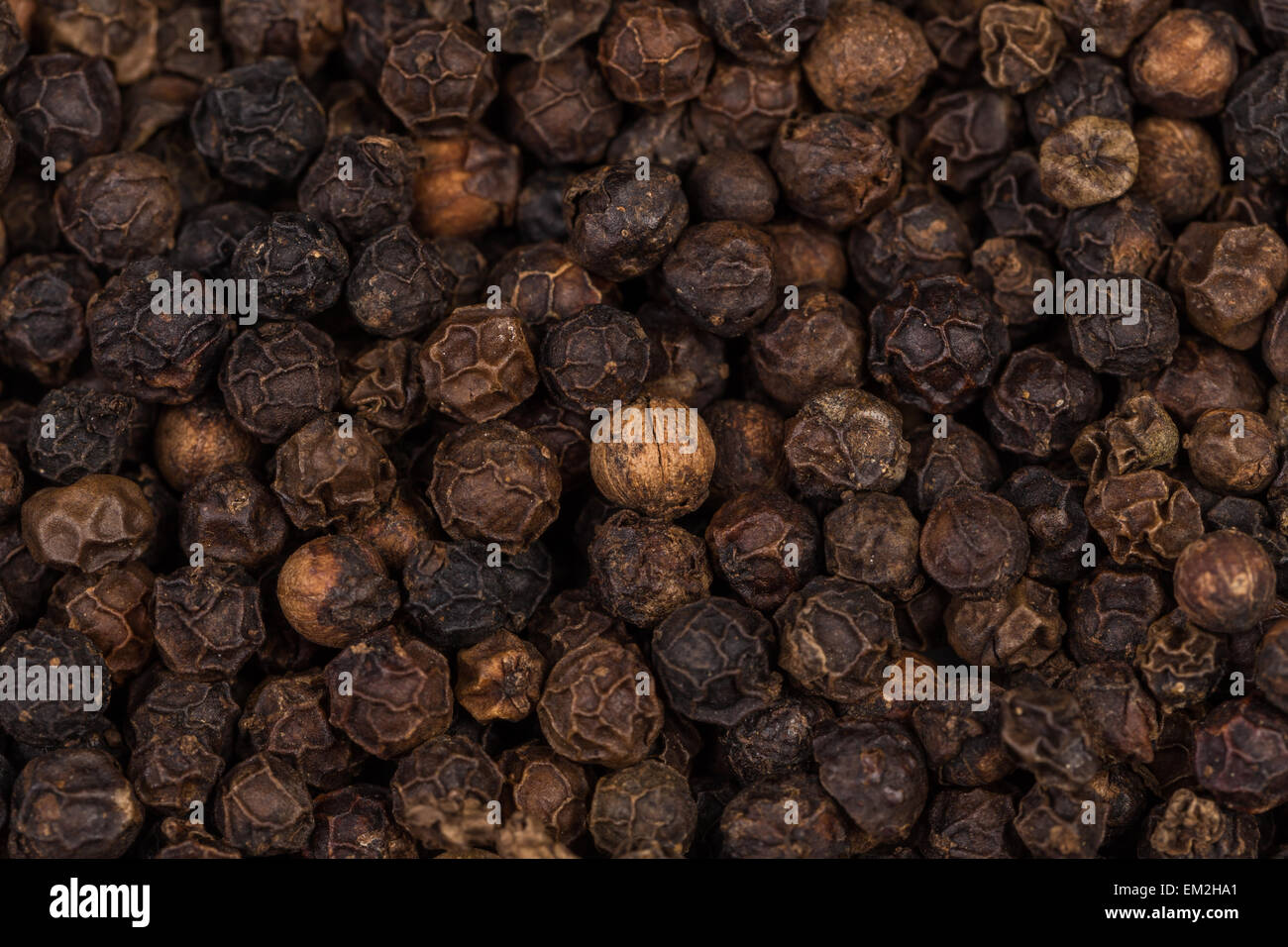 Black peppercorn spice background close up image Stock Photo - Alamy