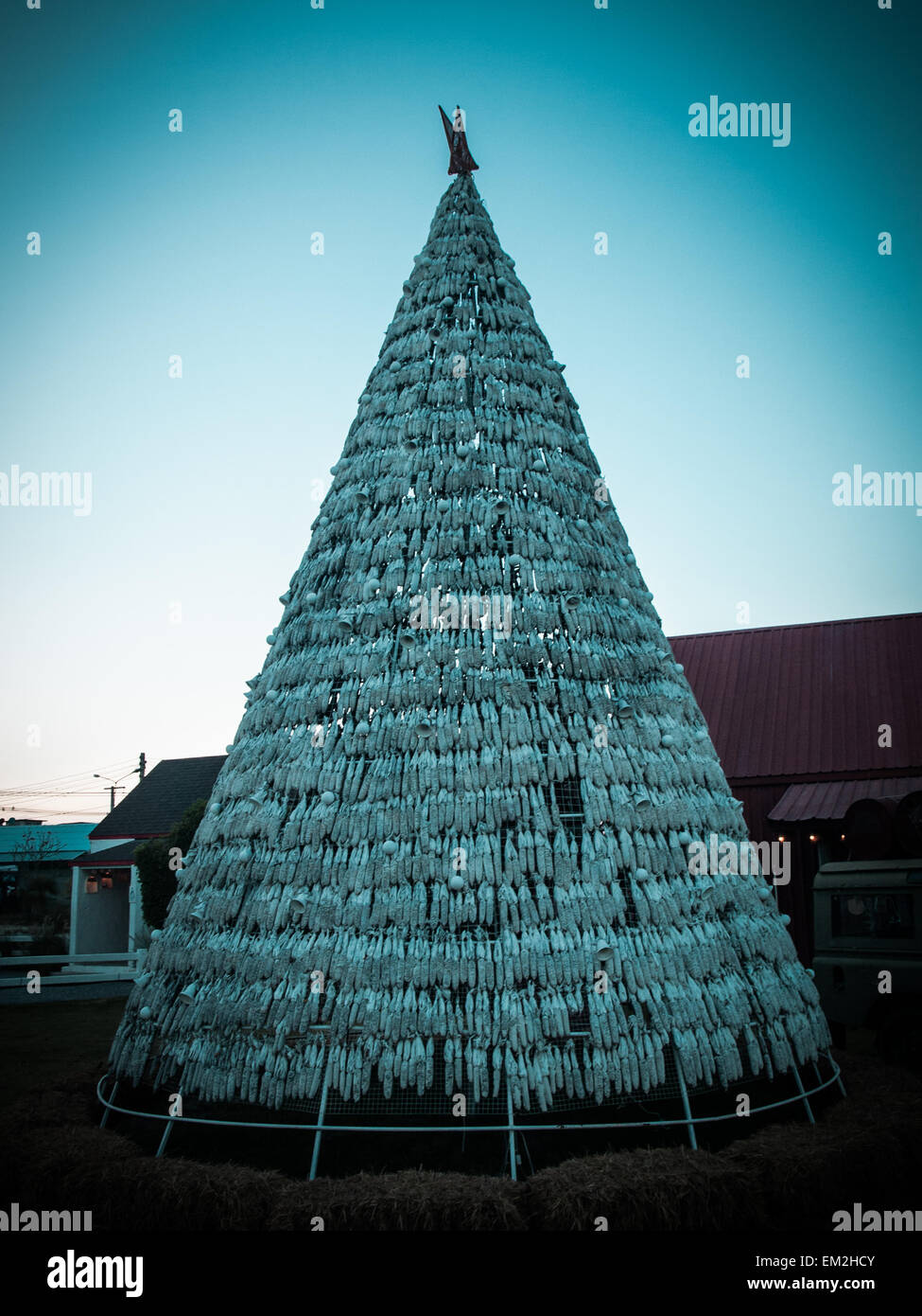 White Christmas tree in nature in twilight Stock Photo - Alamy
