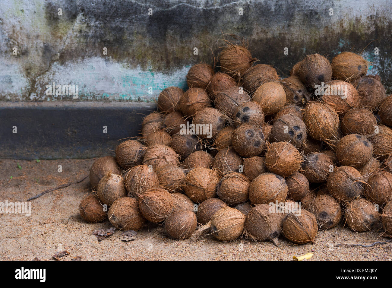 Coconut pile, Kerala, India Stock Photo - Alamy
