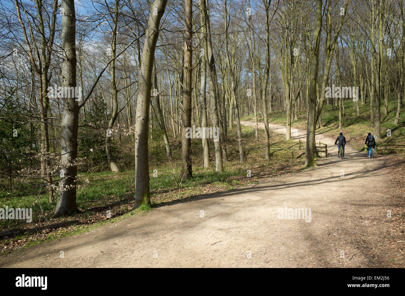 Woodland cycle ride hi-res stock photography and images - Alamy