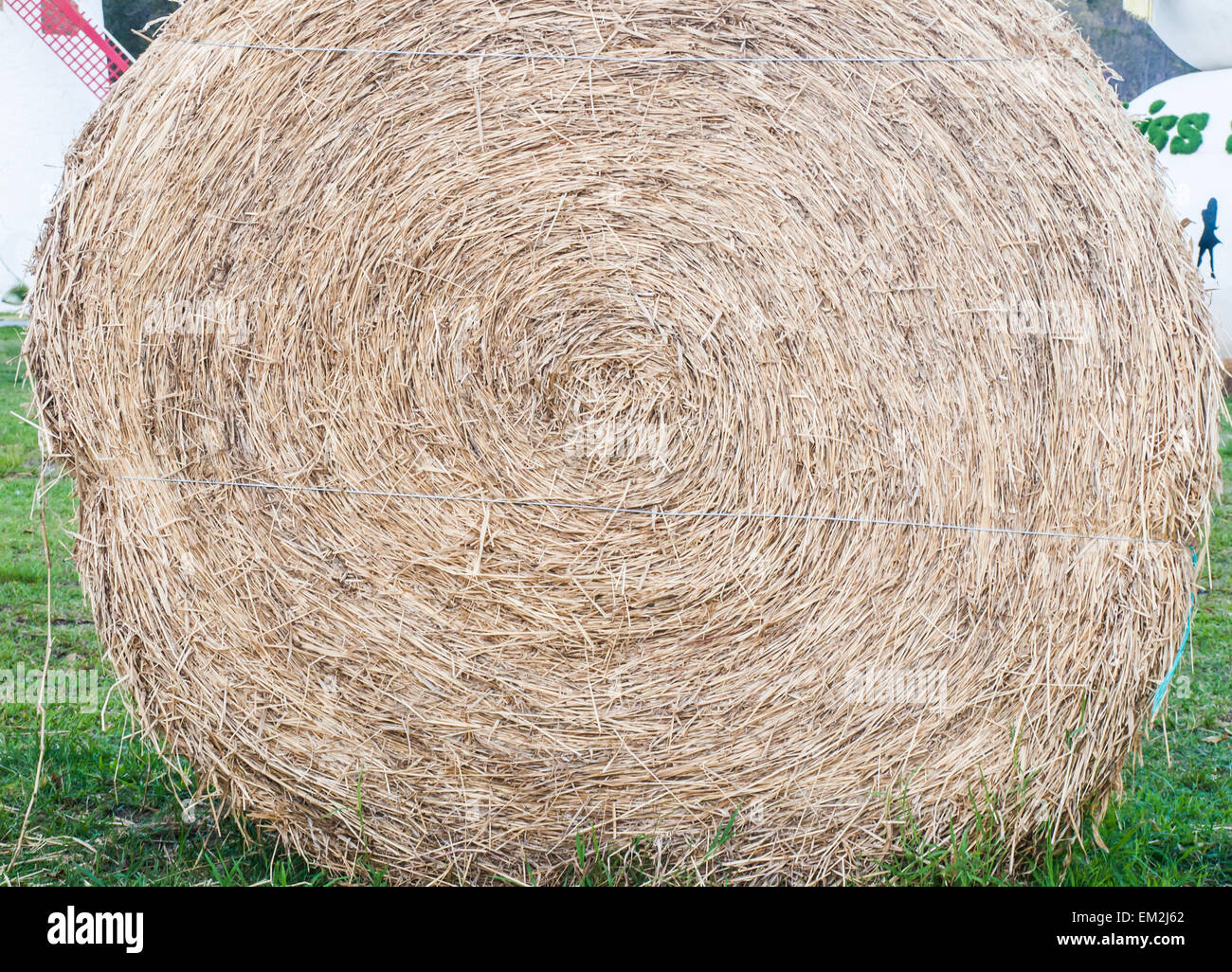 Closeup of round bale hay background Stock Photo - Alamy