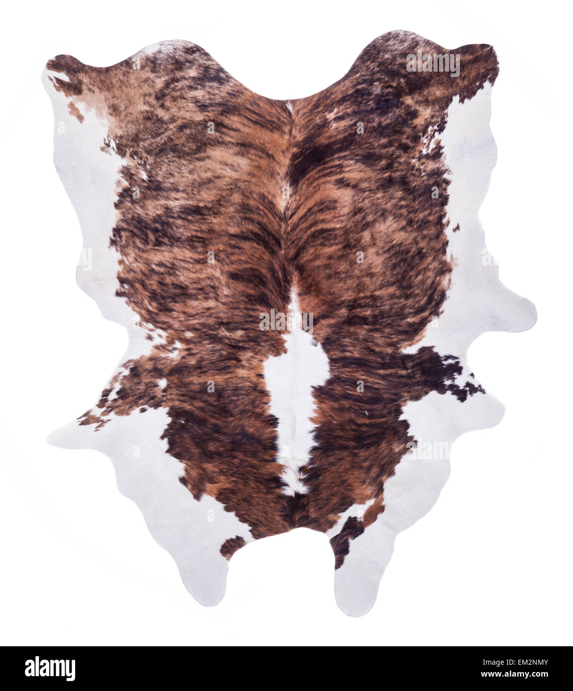 Fashion cow Cut Out Stock Images & Pictures - Alamy