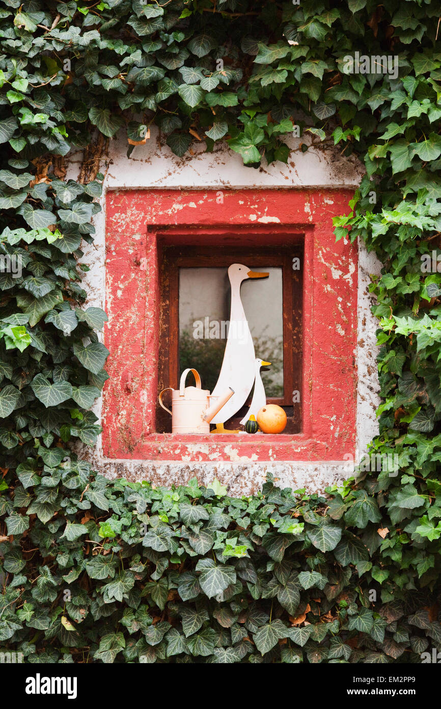Vines growing around windows hi-res stock photography and images - Alamy