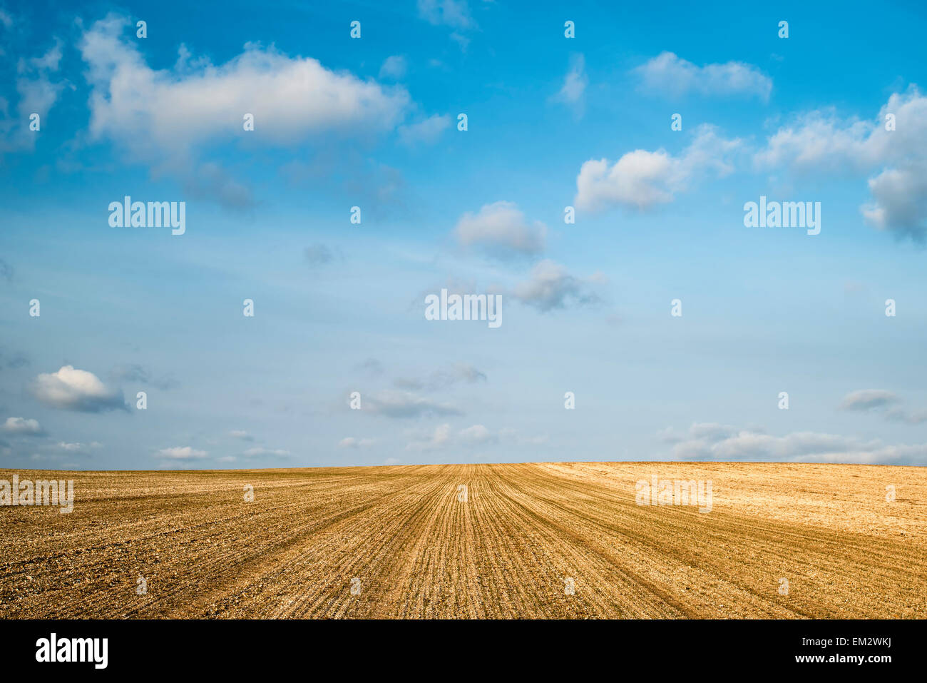 Spring evening on farm hi-res stock photography and images - Alamy