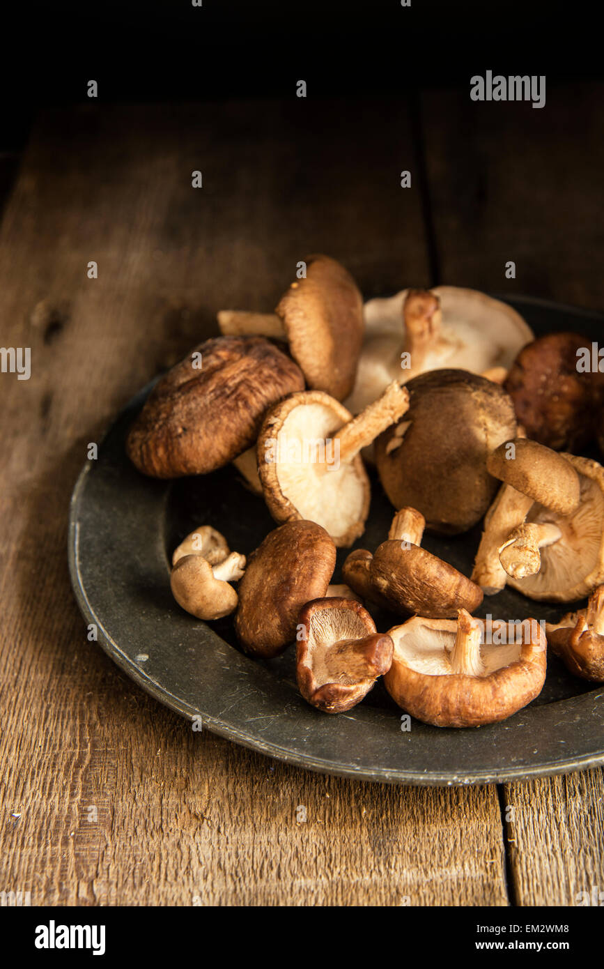 Fresh shiitake mushrooms in moody natural light setting with vintage ...