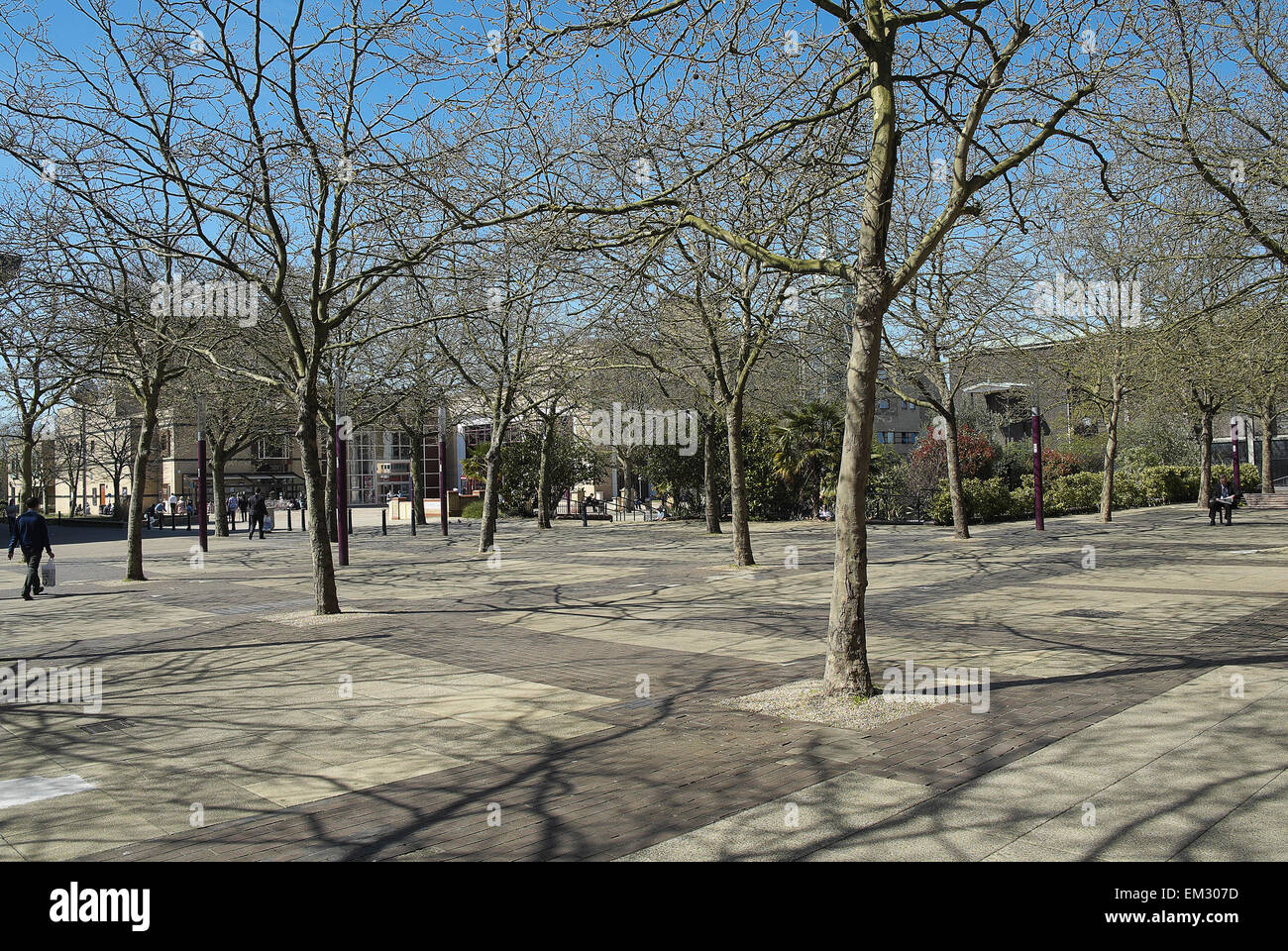 Square trees hi-res stock photography and images - Alamy