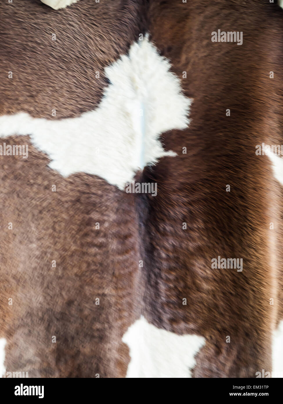 Skinned cow hi-res stock photography and images - Alamy