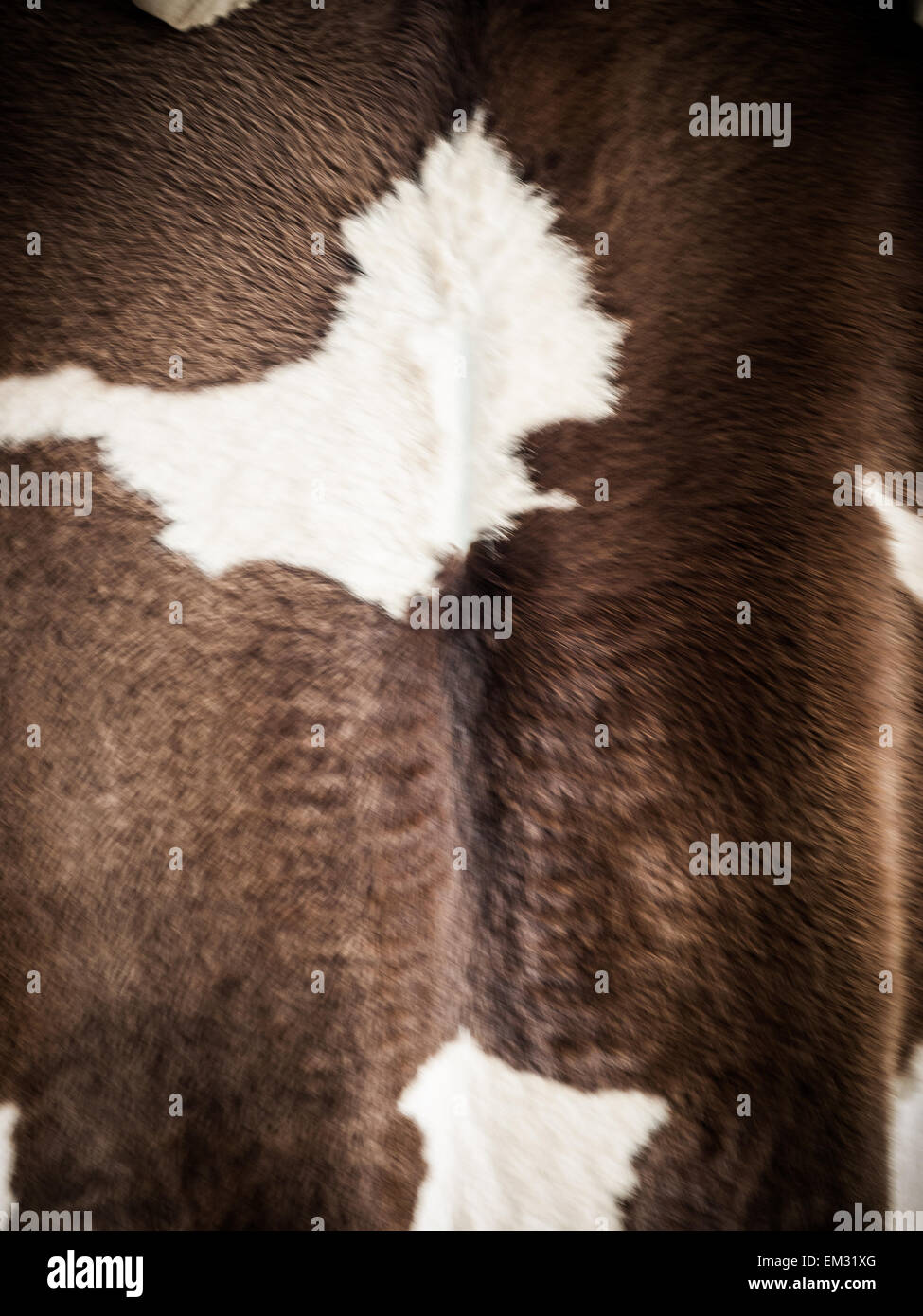 Skinned cow hi-res stock photography and images - Alamy
