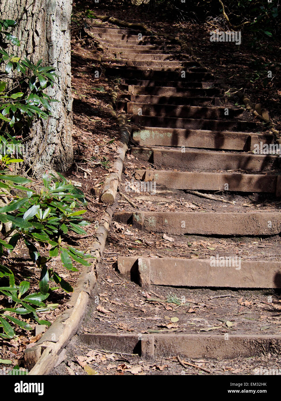 Viewing steps hi-res stock photography and images - Alamy