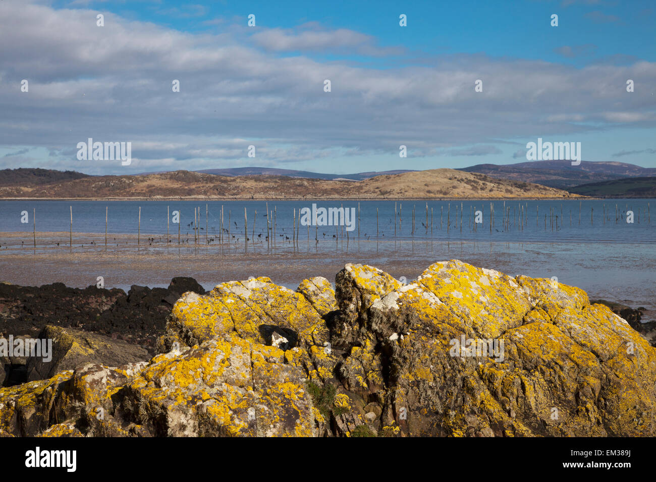 Landscape Along The Coast; Dumfries And Galloway Scotland Stock Photo ...