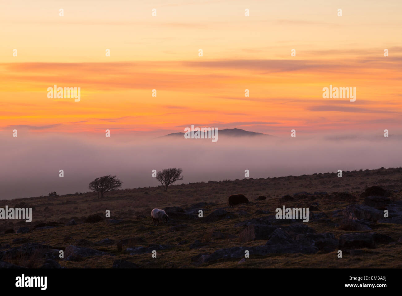 Mist on the moors hi-res stock photography and images - Alamy