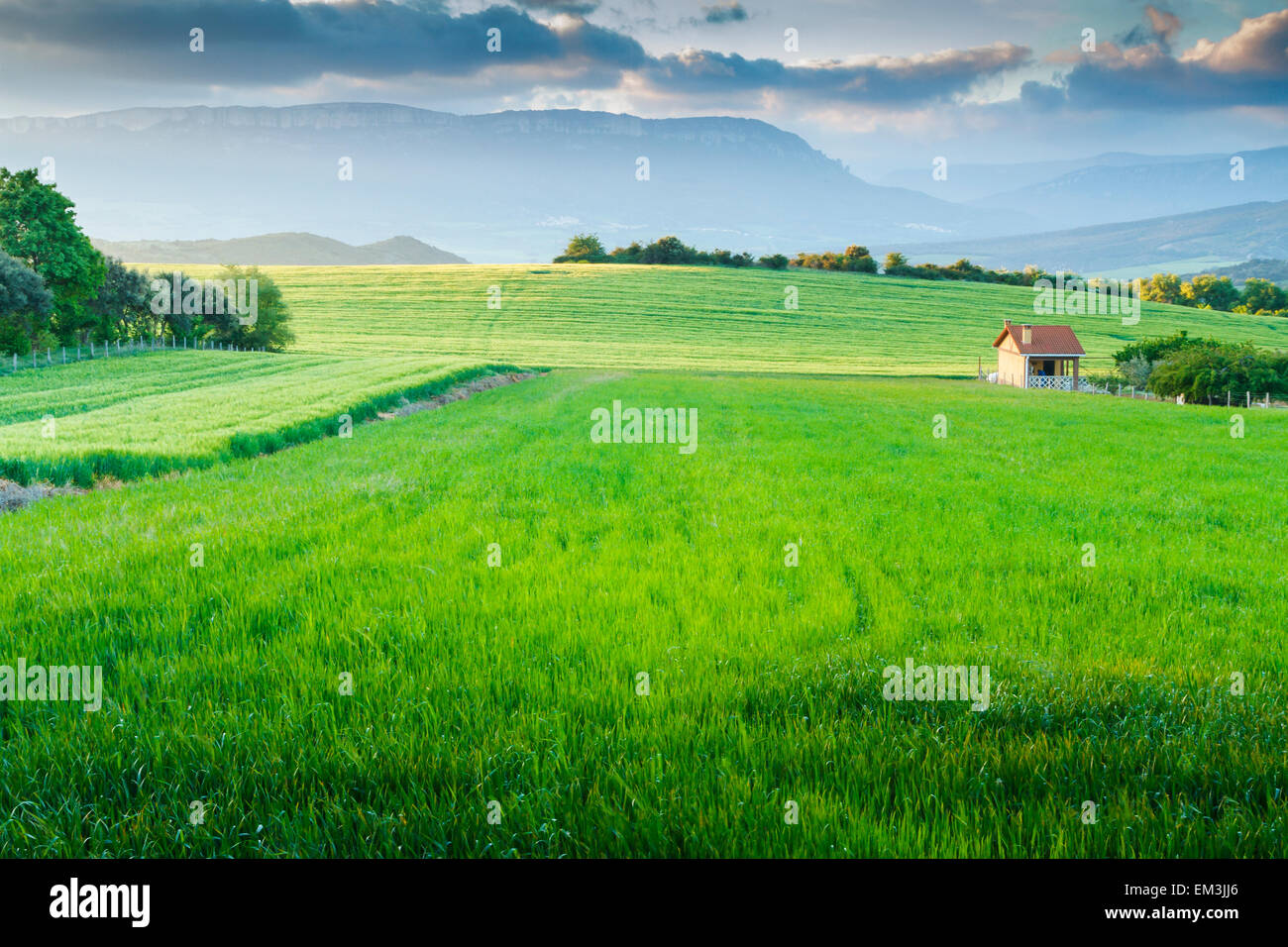 Country. Navarre, Spain, Europe Stock Photo - Alamy