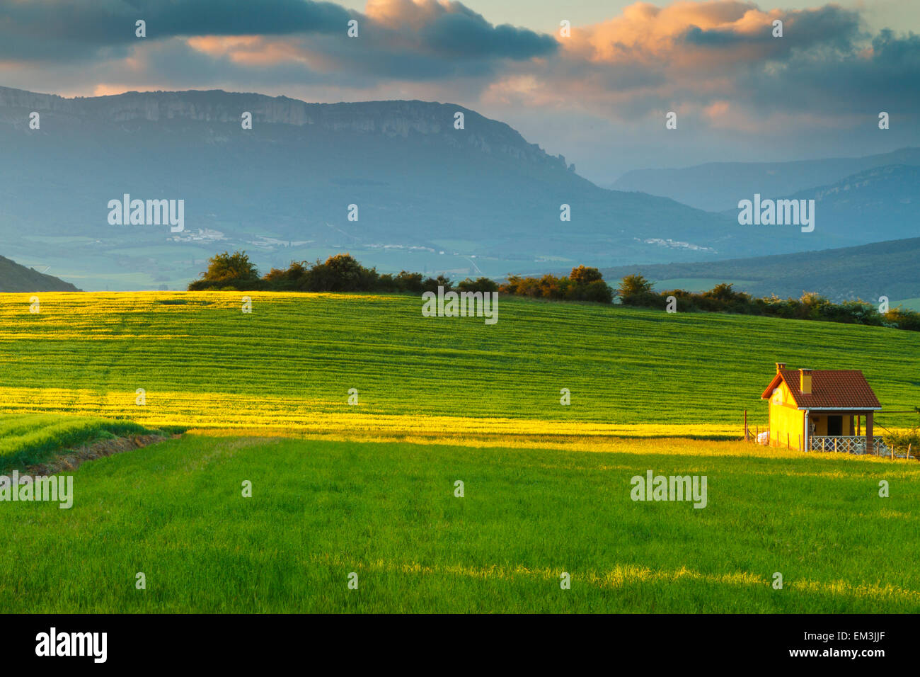 Country. Navarre, Spain, Europe Stock Photo - Alamy