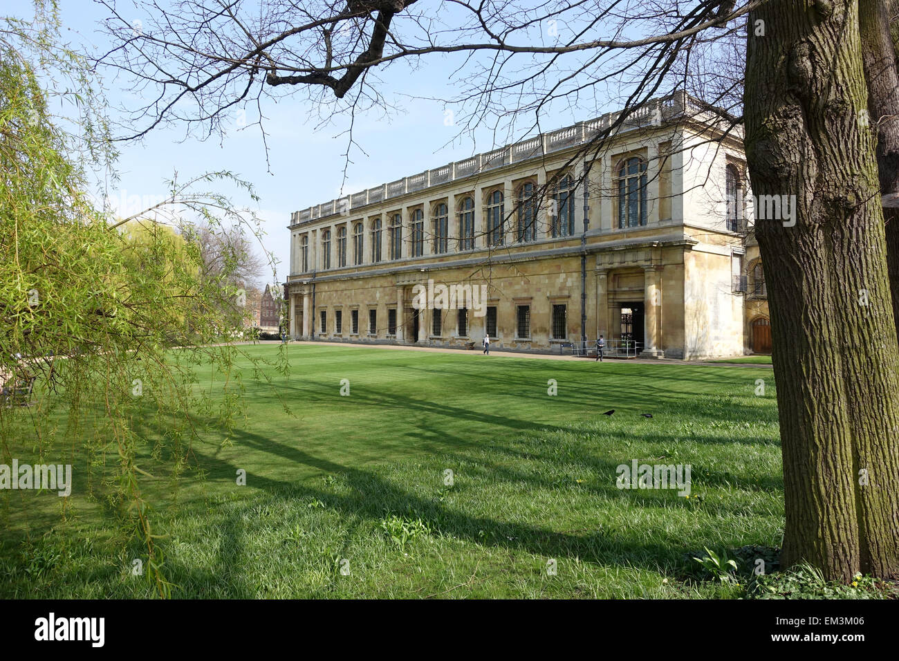 Spring wren library hi-res stock photography and images - Alamy