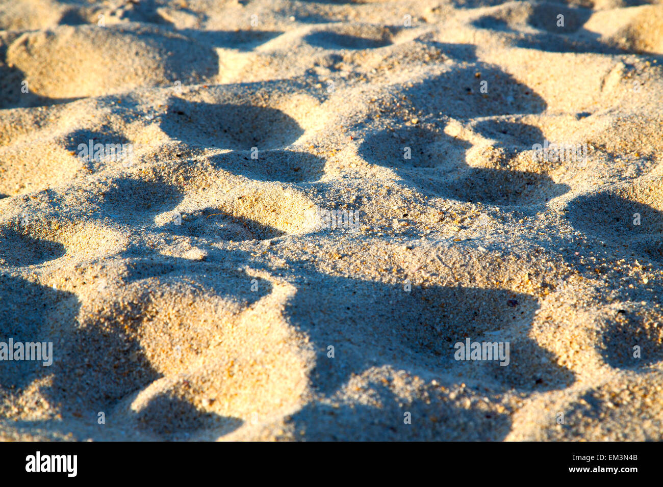 texture footstep in kho samui bay thailand asia rock stone abstract ...