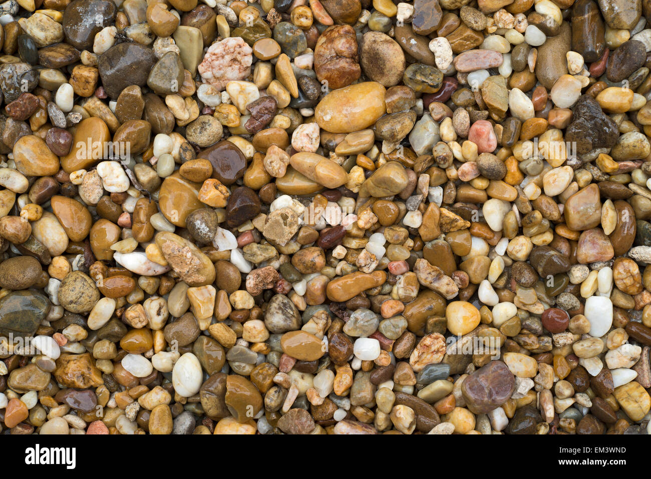 Pebbles texture background. wet Stock Photo - Alamy
