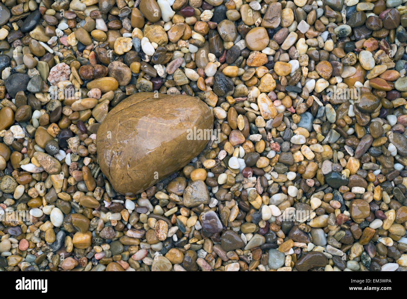 Among stone and concrete hi-res stock photography and images - Alamy